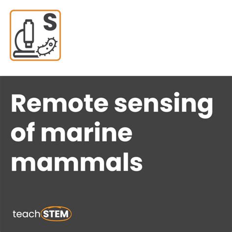 Remote Sensing Of Marine Mammals Teach Stem