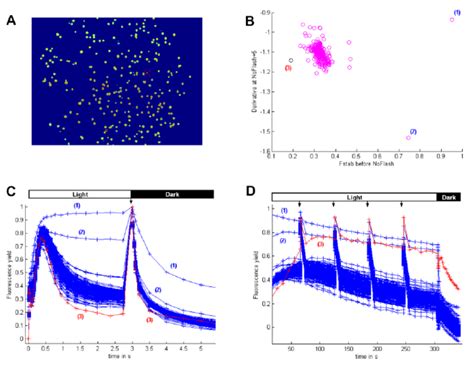 Time Resolved Fluorescence Screening For Insertion Mutants Of Download Scientific Diagram