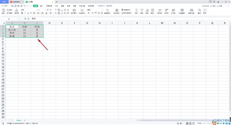 Excel Wps