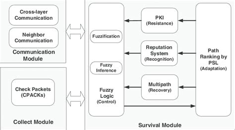 Survival Path Selection Scheme Download Scientific Diagram