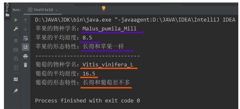 Java