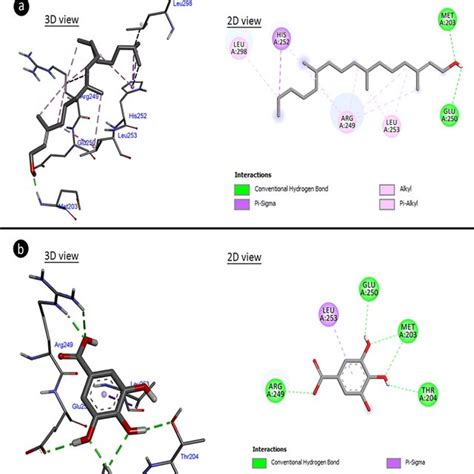 Potential Molecular Interactions Binding Affinities And Potential Download Scientific Diagram