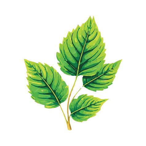 Premium Vector Nature Green Leaf Pattern Background