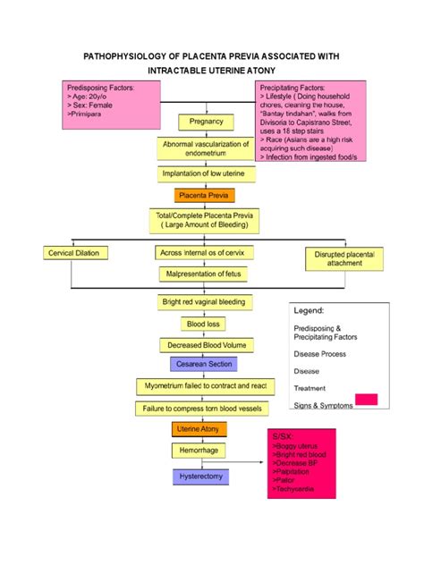 Placenta Previa Pathophysiology Pdf