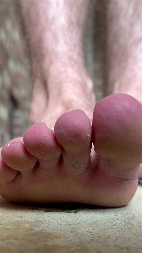 Bugs Bare Feet Crush Locust Thisvid Com