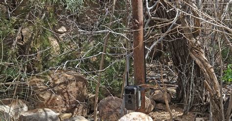 CHRISTMAS MOUNTAINS OASIS Resetting The Trail Camera