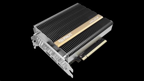 Lastly A Contemporary Fanless Gpu Palit Rtx 3050 6gb Reportedly