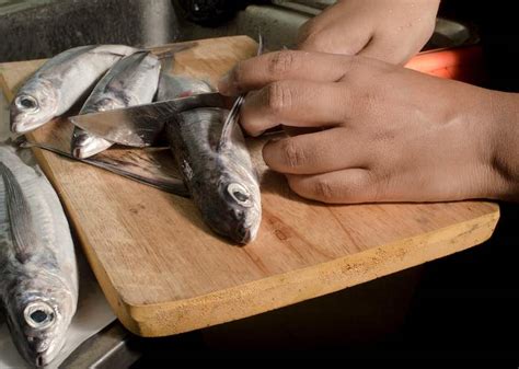 The Catch And Cook Fishing 7 Tips To Prepare Freshly Caught Fish