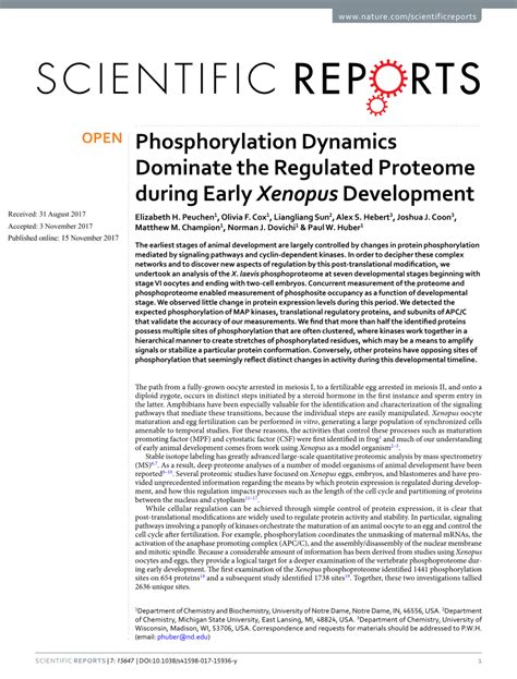 Pdf Phosphorylation Dynamics Dominate The Regulated Proteome During Early Xenopus Development