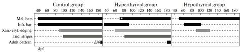 The Sequence Of The Pigment Pattern Elements Appearance In The Download Scientific Diagram