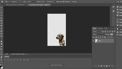 How To Resize Images In Photoshop A Comprehensive Guide