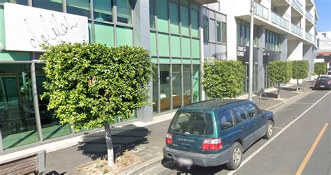 Community Notification Ficus Tree Pruning And Trimming Our Urban