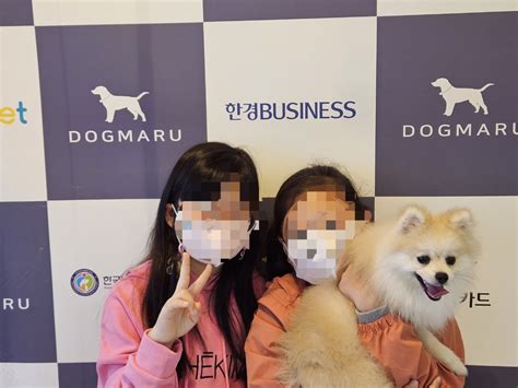 도그마루 보호소 포메라니안 정크림 푸숑책임분양 노르웨이숲책임분양 데본렉스책임분양 뱅갈책임분양 샴책임분양 셀커크렉스책임분양 스핑크스책임분양 아메리칸숏헤어책임분양 아메리칸