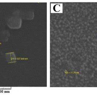 SEM Images Of A TiO NPs B Ag NPs With G PVP C Ag NPs With