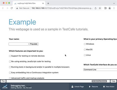 Debug Tests Basic Guides Guides