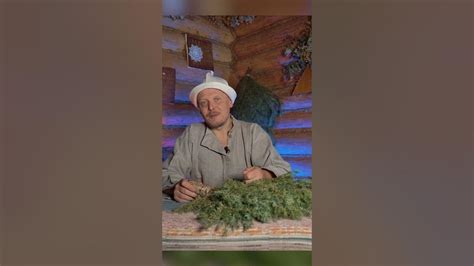МОЖЖЕВЕЛОВЫЙ ВЕНИК ДЛЯ БАНИ СЕВЕРНЫЙ КИПАРИС ВЕРЕС #баня #банщик# ...