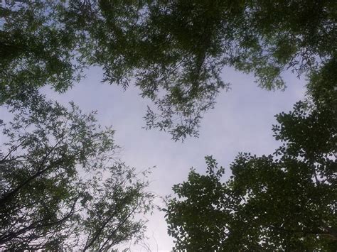 Архангай Өгийнуур сумын зарын нэгдсэн сүлжээ