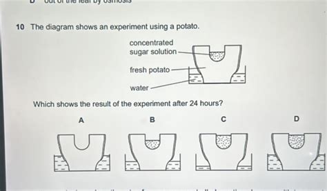 10 The Diagram Shows An Experiment Using A StudyX