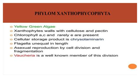Algae Biology Taxonomy And Application Important Ppt