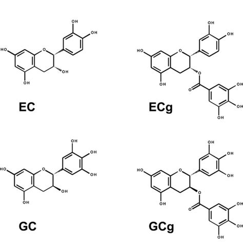 Chemical Structures Of Major Green Tea Catechins And Their Galloyl