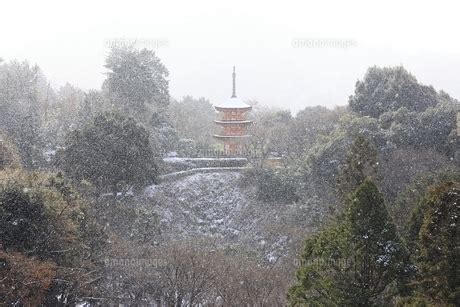 冬の清水寺 雪降る子安の塔 京都府の写真素材 FYI05044843 ストックフォトの Qlean Marketキュリンマーケット