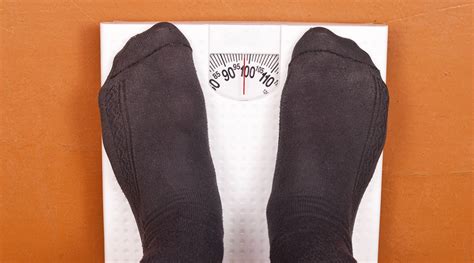 El Tejido Adiposo La Nueva GlÁndula Del Sistema Endocrino