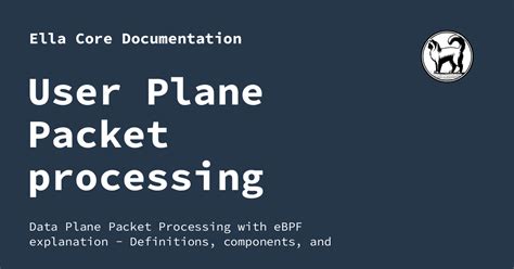 User Plane Packet Processing With Ebpf Ella Core Documentation