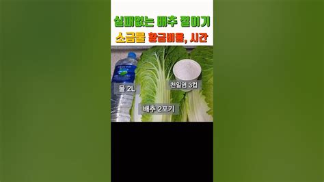 실패없는 배추절이기 소금물 황금비율 시간 핵심만 콕콕 Youtube