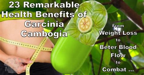 23 Remarkable Health Benefits Of Garcinia Cambogia