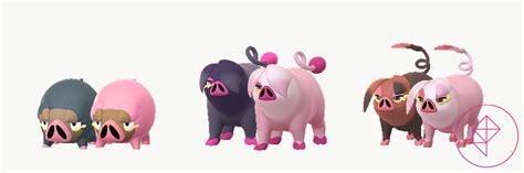 Can Lechonk Be Shiny In Pokémon Go Polygon