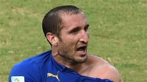 Luis Suárez Bite Giorgio Chiellini Says Ban Is Excessive Huffpost