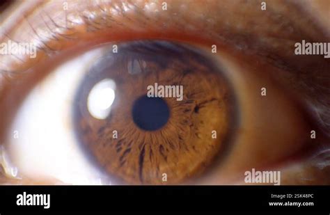 Woman Brown Eye Closeup View Stock Video Footage Alamy