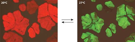 Structural Color Manoharan Lab