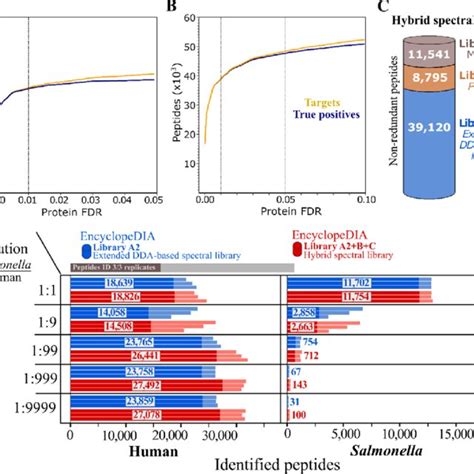 Hybrid Spectral Library Construction A Number Of Target And True
