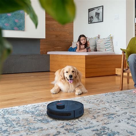 Customer Reviews BObsweep Dustin Wi Fi Connected Self Emptying Robot