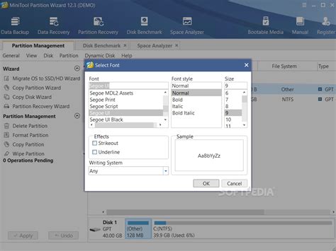 Minitool Partition Wizard Server Edition Download Softpedia