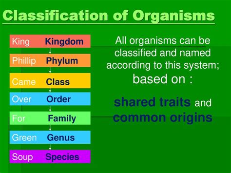 Classifying Types of organisms - ppt download