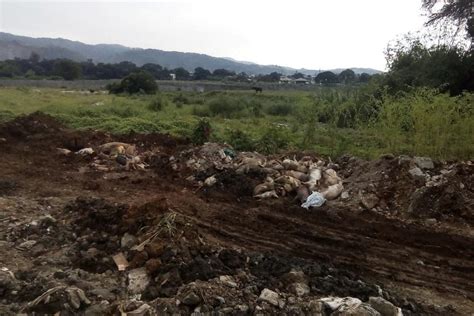 Da To Release Asf Zoning Plan Gma News Online