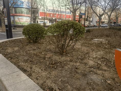 【回应关切】倾听市民呼声 积极认真办理齐河进行杂物
