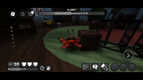 Twisted Dyle Youtube