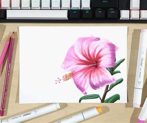 How To Draw A Pink Flower