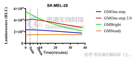 荧光素酶报告基因检测试剂盒焕新升级 操作更简便、信号更稳定、应用更广阔 知乎