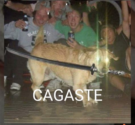 Cagaste Meme Subido Por Exterfan Memedroid