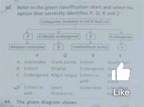 48 Refer To The Given Classification Chart And Select The Option That