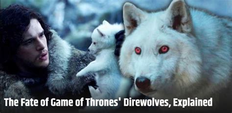 gameofthrones direwolf deextinction marketingstrategy technews… pradeep nainwal