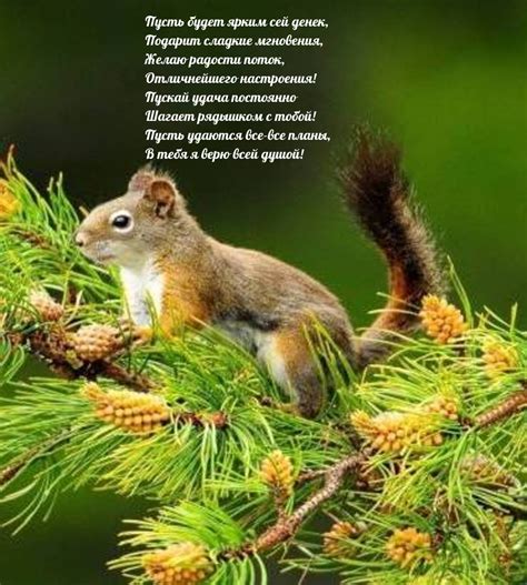 Картинка Пусть будет ярким сей денек