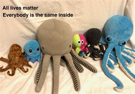 Octopus Equality Amplifier Community