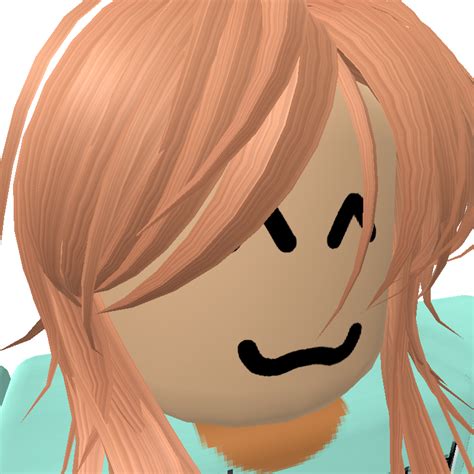 Drils Profile Polytoria