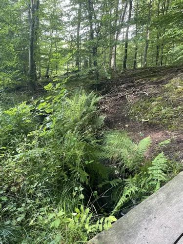 Best Hikes And Trails In Kollund Skov Alltrails