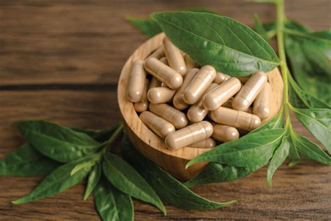a unique andrographis extract for multiple sclerosis vitamin retailer